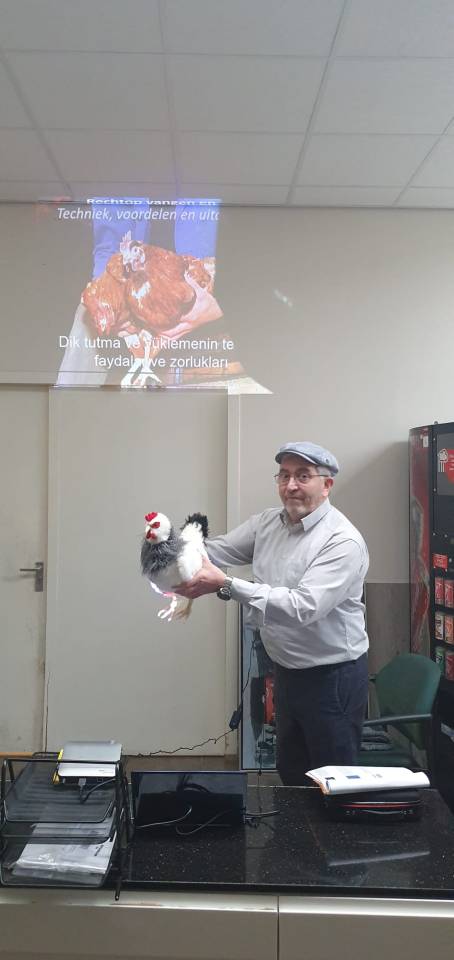 Training chicken-catchers upright catching NL