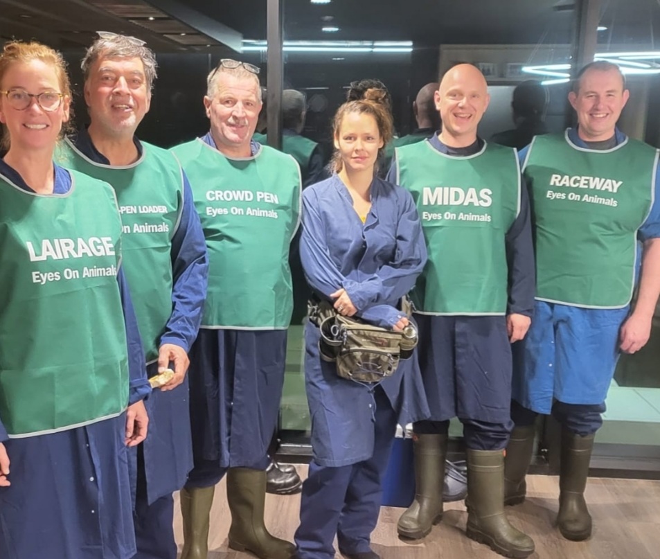 Interview with a slaughterman who volunteers for Eyes on Animals